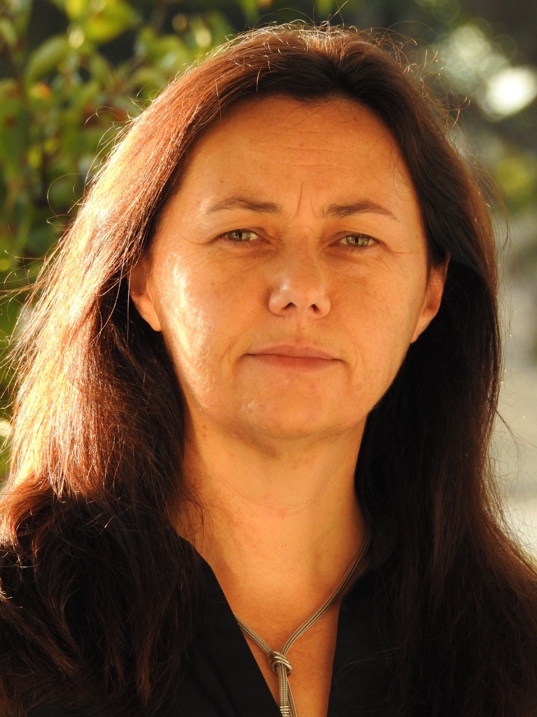 Directors | Conroy Gold and Natural Resources